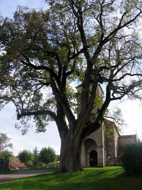 Le Bastit - Mission Zachée